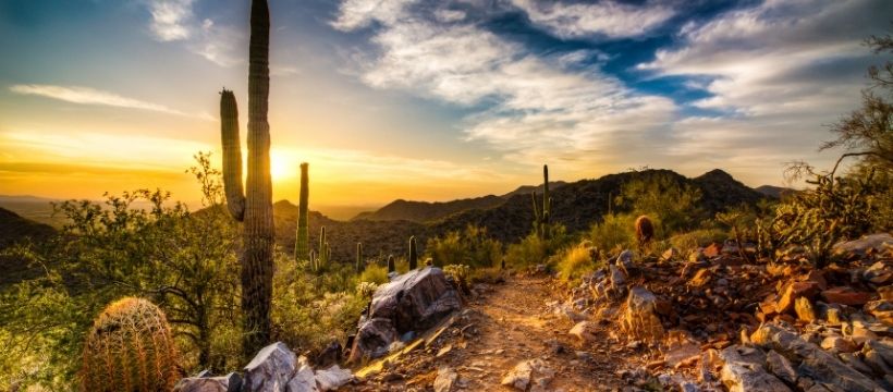 Arizona Military and Veterans Benefits | The Official Army Benefits Website
